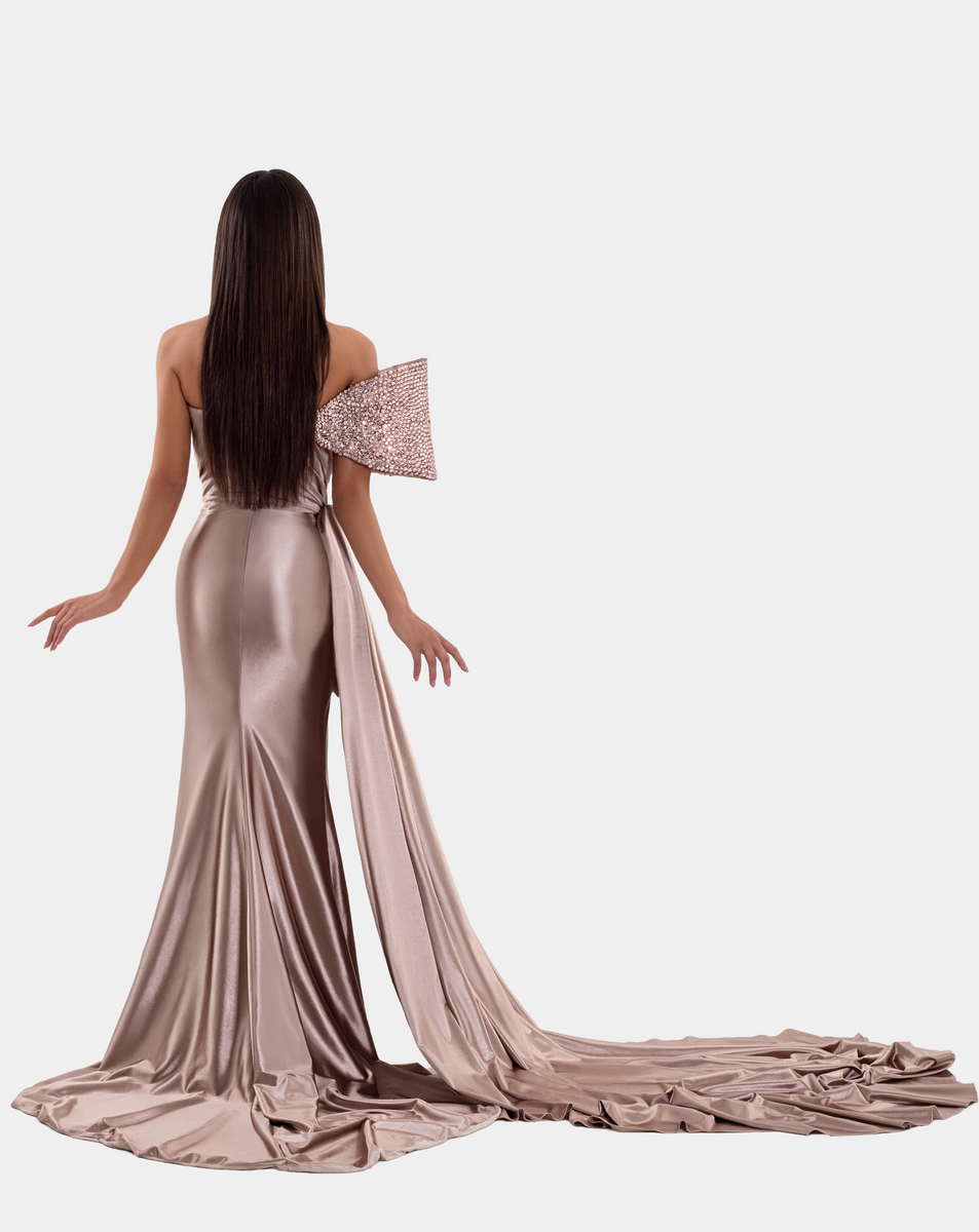 ONE SLEEVE CHAMPAGNE DRESS – ALBINA DYLA