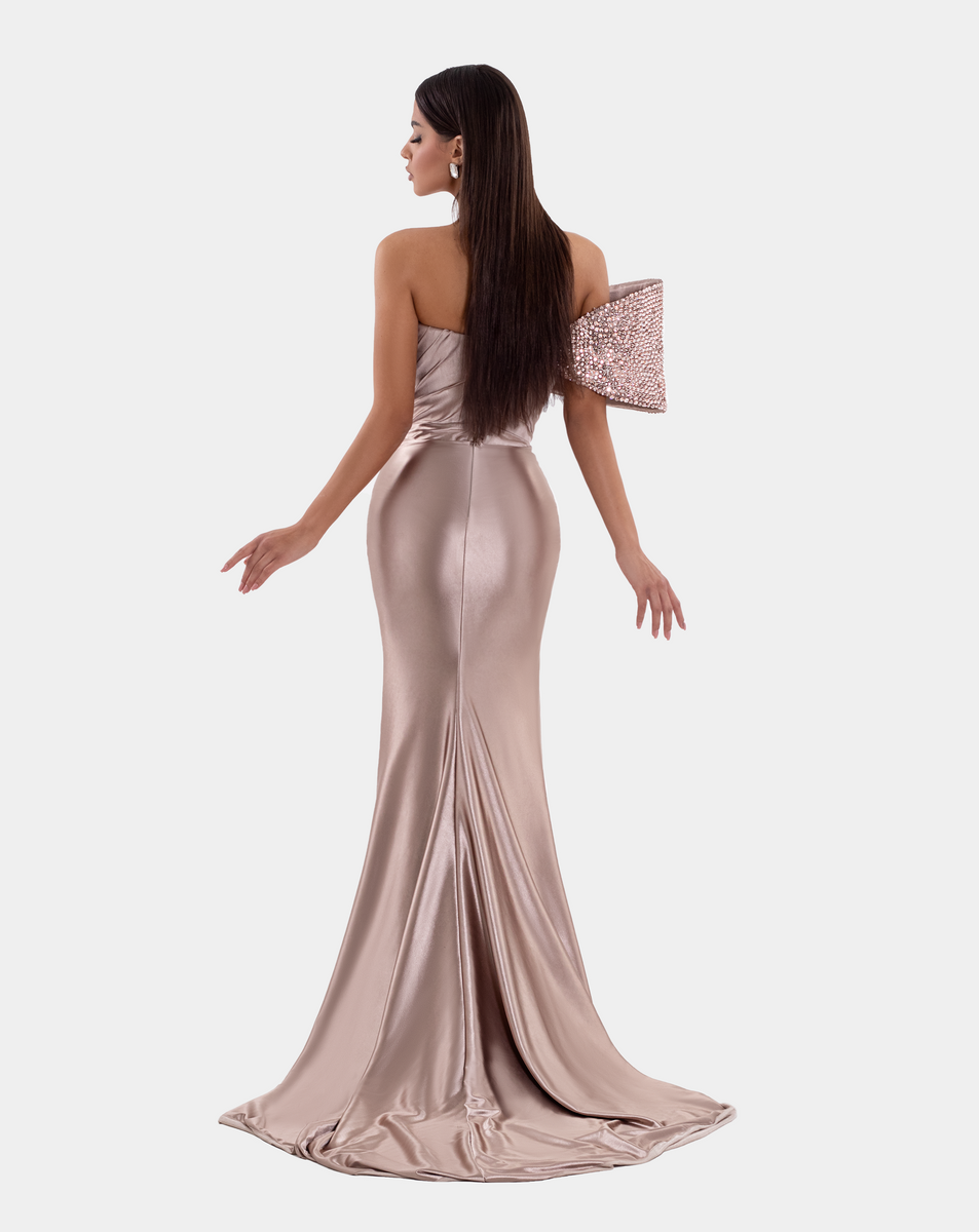LONG CHAMPAGNE DRESS – ALBINA DYLA
